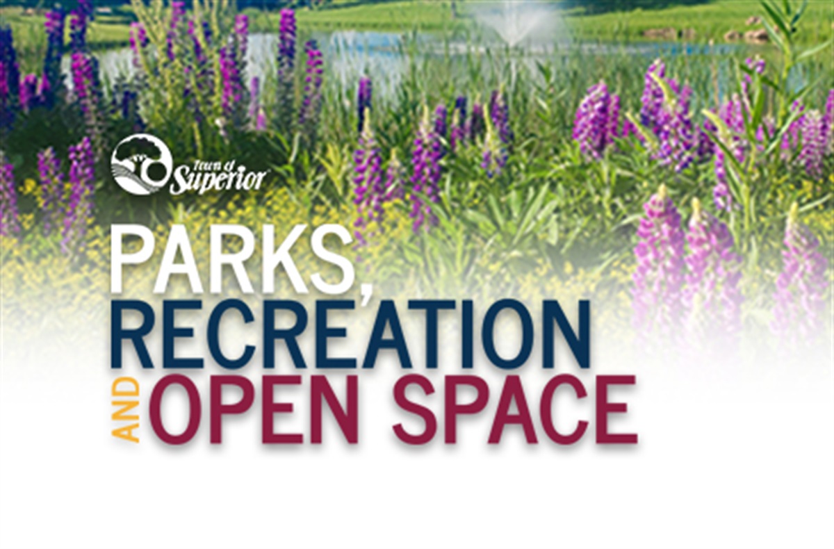 Parks, Recreation & Open Space Newsletter: March 2025 | Town of ...